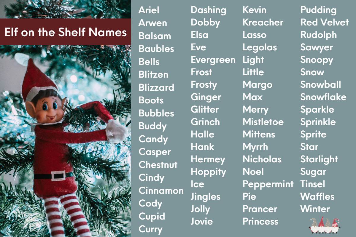 The Elf on the Shelf Tradition (for Newbies)